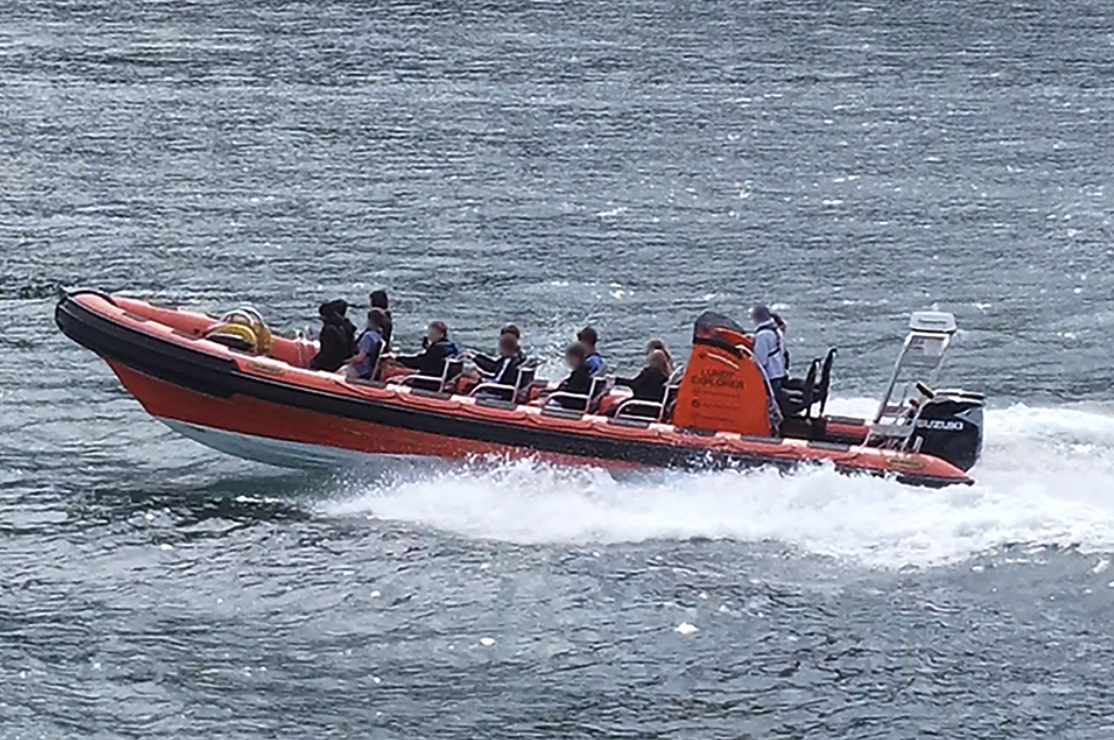 Serious injury to a passenger on the sea safari rigid inflatable boat ...